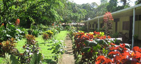 Index of /tortuguero/flor_de_tortuguero/tortuguero_costa_rica